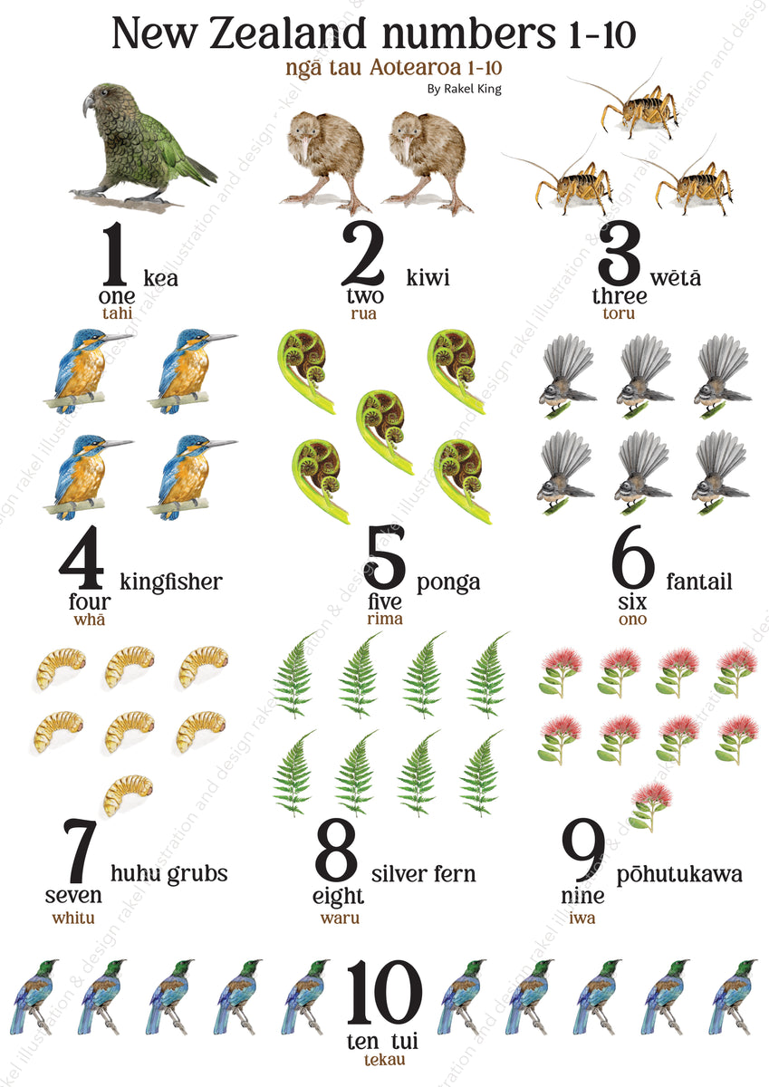 NZ counting 1-10 – Rakel Illustration & Design